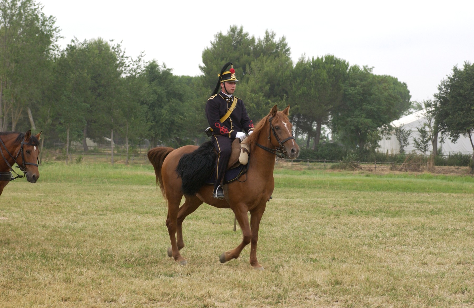 foto-sme-_211 – Associazione Italiana di Storia della Medicina ...