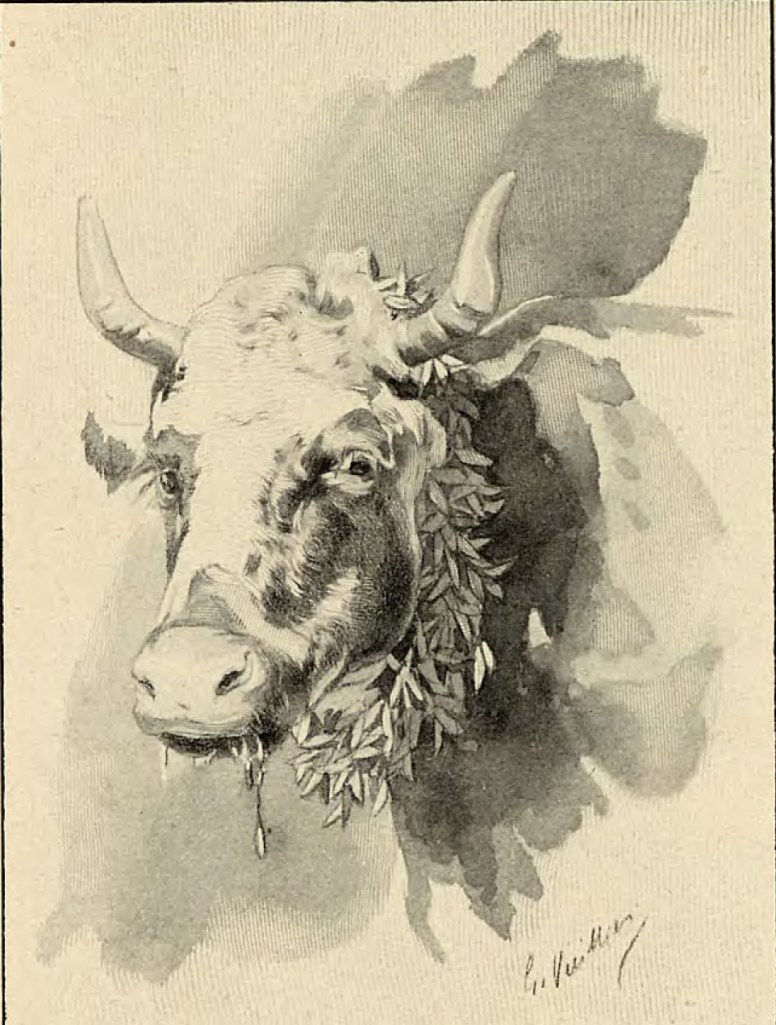 I rimedi naturali – Associazione Italiana di Storia della Medicina ...